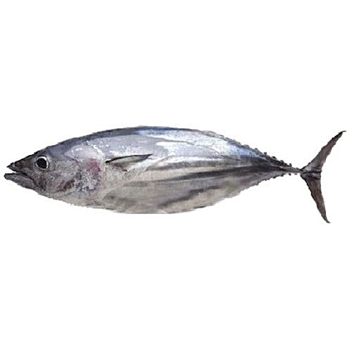 Buy Pattammal Seafoods Fish - Soorai / Tuna Online at Best Price of Rs ...