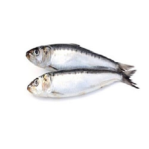 Buy Seavoods Fish Point Fish - Tarli Online at Best Price of Rs 160 ...