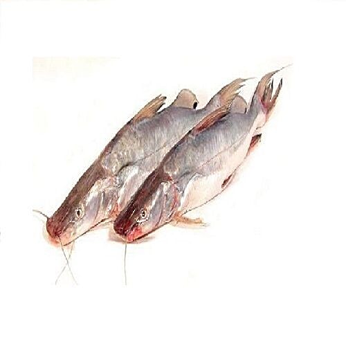 Buy Naturo Virgin Fish - Ayre Large Size Curry Cut With Head And With ...