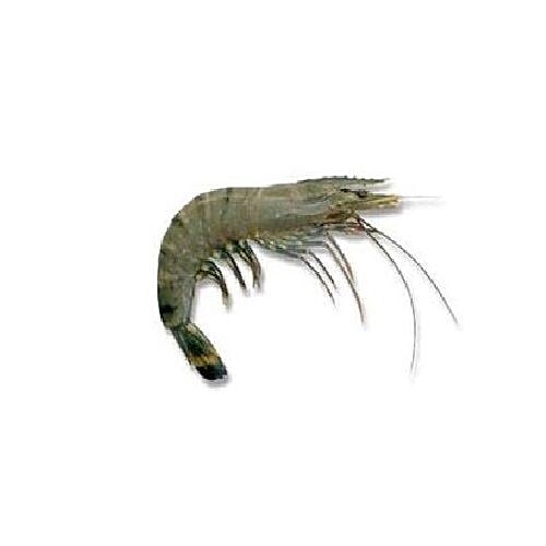 Buy Naturo Virgin Prawns - Bagda / Tiger Small (20 - 25 Pieces) Online ...