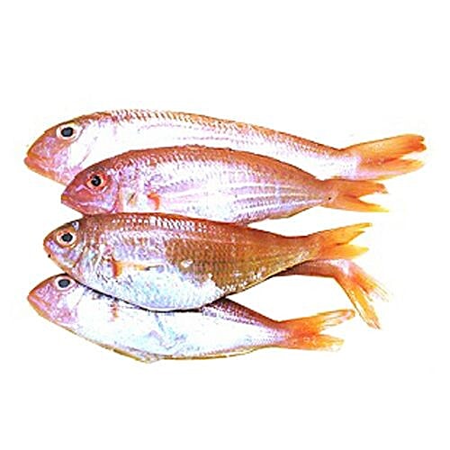 Buy Perche Enterprises Fish - Pink Percher Online at Best Price of Rs ...