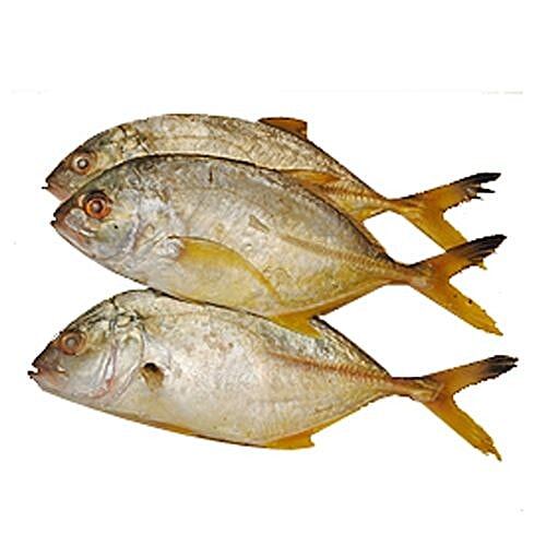 Buy Perche Enterprises Fish - Trevally - Parai, Big Online at Best ...
