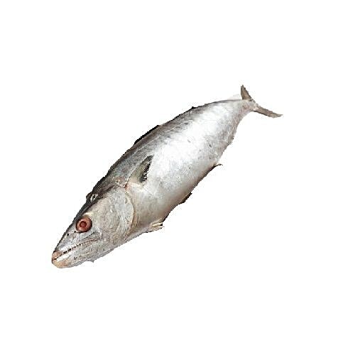 Buy Saurabh Fish Farm Large Surmai/King Fish Online at Best Price of Rs ...