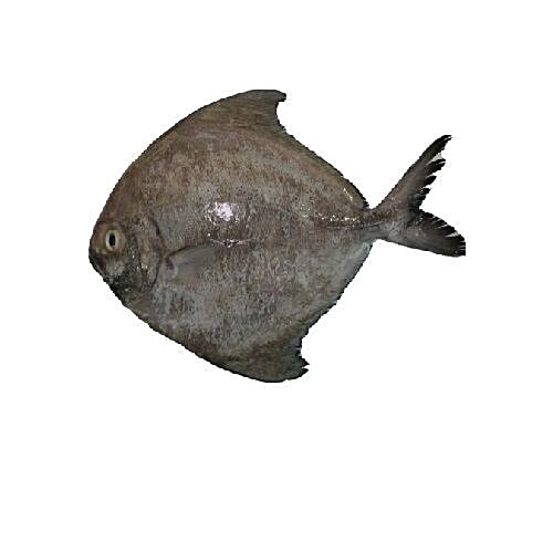 Buy Saurabh Fish Farm Black Pomfret Fish - Slices Online at Best Price ...
