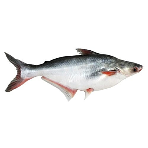 Buy Jamal's Fish Fish - Fresh Indian Basa / Seelan Online at Best Price ...