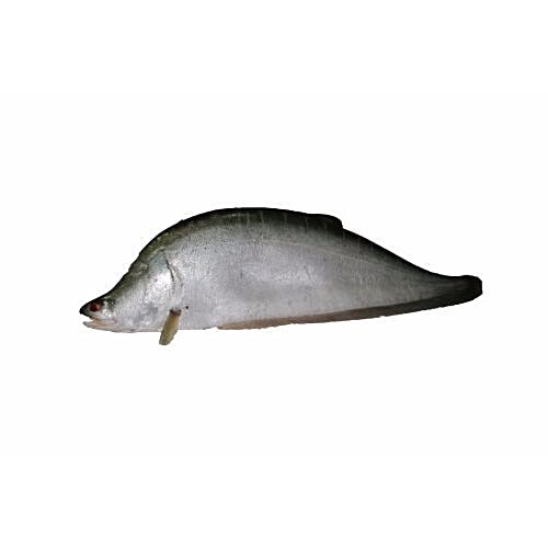 Buy Meat Mart Fish - Chitol Bengali Cut Online at Best Price of Rs null ...