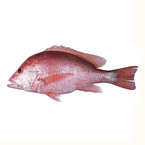 Buy Meat Mart Fish - Pink Perch (Red) 1 kg (Just Cleaned Without Head ...