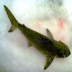 Buy Fresho King Fish / Cobia (Medium) - Boneless Cubes/Finger Cut ...