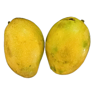 Buy Mangoes Online: Alphonso, Hapus, Kesar, Dasheri Mangoes at Best ...