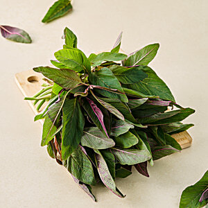 Buy Fresho Palak 1 Kg Online at the Best Price of Rs 49.31 - bigbasket