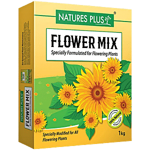 Gaurav Sweets Fertilizers & Pesticides: Buy Gaurav Sweets Fertilizers ...