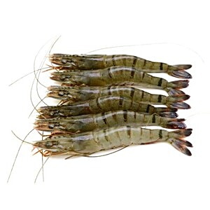 Buy fresho! Galda Fish - Large, Processed-B Online at Best Price of Rs ...