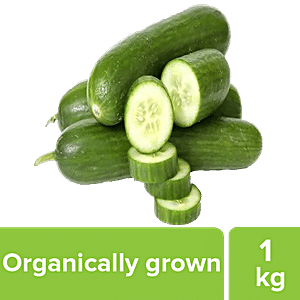Buy Fresho Cucumber Organically Grown 500 Gm Online At Best Price of Rs ...