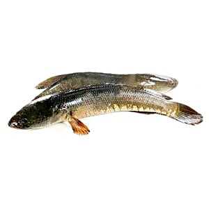 Buy Fresho Sea Sole Fish Online at Best Price of Rs 693 - bigbasket