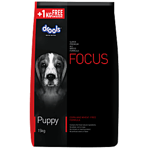 Buy Focus Products Online at Best Prices in India - bigbasket