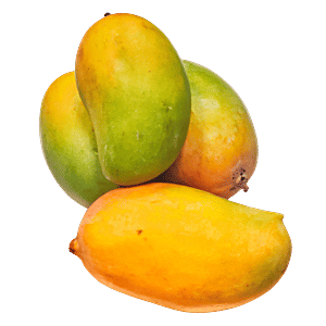 Buy Mangoes Online: Alphonso, Hapus, Kesar, Dasheri Mangoes at Best ...