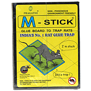 Buy M Stick Products Online at Best Prices in India - bigbasket
