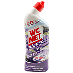 Buy Wc Net Intense Gel Mountain Fresh Online at Best Price of Rs 135 - bigbasket