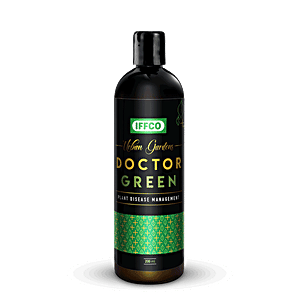 Buy IFFCO Urban Gardens Dr Green Plant Disease Management Online at Best Price of Rs 79 - bigbasket