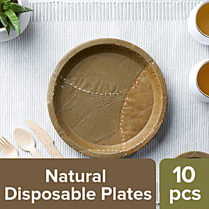 Buy bb home Earth Natural Disposable Plates - 29.2 cms, Siali Leaf ...