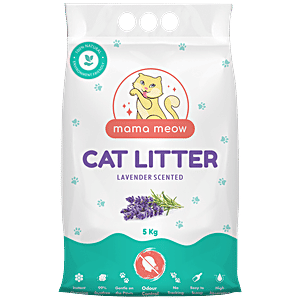 Mama Meow Pet Cleaning & Grooming: Buy Mama Meow Pet Cleaning ...