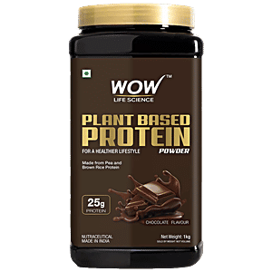 Buy WOW Life Science Plant Based Protein Powder - Chocolate Flavour ...
