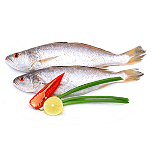Buy Fresho Mackerel Fish - Medium, 6 To 8 pcs Online at Best Price of ...