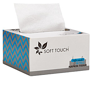 Buy Soft Touch Informal Facial Napkin Tissues - 2 Ply Online at Best ...