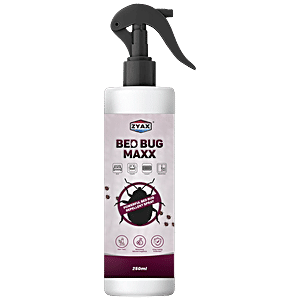 Buy Zyax Bed Bug Maxx Bed Bug Repellent Spray Online at Best Price of ...