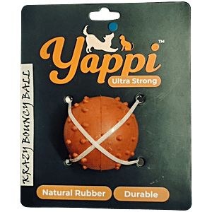 Yappi Pet Toys: Buy Yappi Pet Toys Online in India @ Best Price - bigbasket