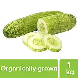 Buy Fresho Cucumber Organically Grown 500 Gm Online At Best Price of Rs ...