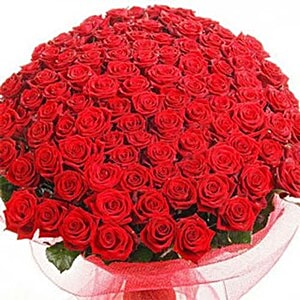 Red Kamal Ka Phool