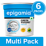 Buy Epigamia Greek Yogurt - Natural, No Added Sugar, High In Protein ...