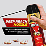 Buy Mortein Cockroach Killer Spray + Mosquito & Fly Killer Spray, Each ...