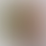 Buy Mortein 2-In-1 Mosquito & Cockroach,600ml + Mosquito & Fly Killer ...