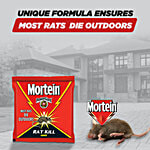 Buy Mortein Rat Kill Cake Power Gard 100 Gm Pouch Online At Best Price ...