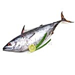 Buy Fresho Tuna Fish - Curry Cut/Bengali Cut Online at Best Price of Rs ...