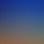 Buy Tata Tea Gemini Tea 250 Gm Online at the Best Price of Rs 135 ...