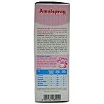 Buy Amul Infant Milk Food Amulspray 500 Gm Carton Online at the Best ...