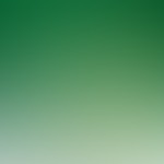 Buy Nimyle Floor Cleaner - Citro Online at Best Price of Rs 88 - bigbasket