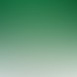 Buy Nimyle Floor Cleaner - Citro Online at Best Price of Rs 104.5 ...