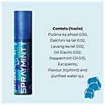 Buy Spraymintt Instant Mouth Freshener Icy Mint 15 Gm Carton Online at ...