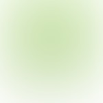 Buy Bb Popular Channa Kabuli 200 Gm Pouch Online At Best Price of Rs 35 ...