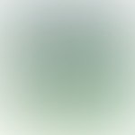 Buy Good Home Scrub Pad Regular Large 1 Pc Online at the Best Price of ...