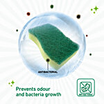 Buy Scotch Brite Scrub Sponge Large 1 Pc Online At Best Price of Rs 35 ...