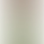 Buy Modern Multigrain Superseed 400 Gm Online at the Best Price of Rs ...