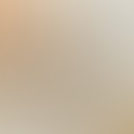 Buy Modern Multigrain Superseed 400 Gm Online at the Best Price of Rs ...