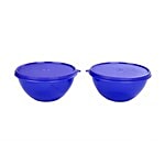 Buy Signoraware Wonder Bowl No. 4 Jumbo - Deep Violet 807S2 Online at ...
