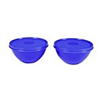 Buy Signoraware Wonder Bowl No. 2 Container - Deep Violet 811S2 Online ...