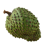 Buy Fresho Soursop 1 Pc Online At Best Price of Rs 135.34 - bigbasket